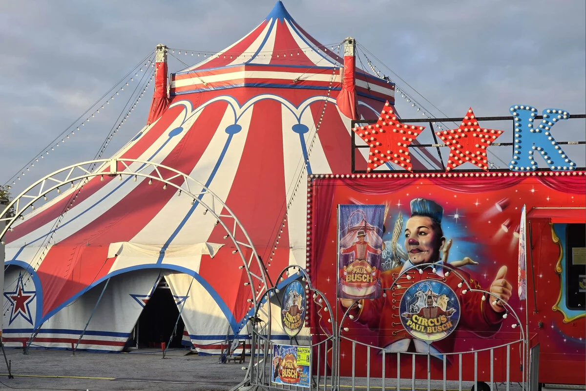Sportello dei diritti - dalla parte dei cittadini - Tragedia al circo ...